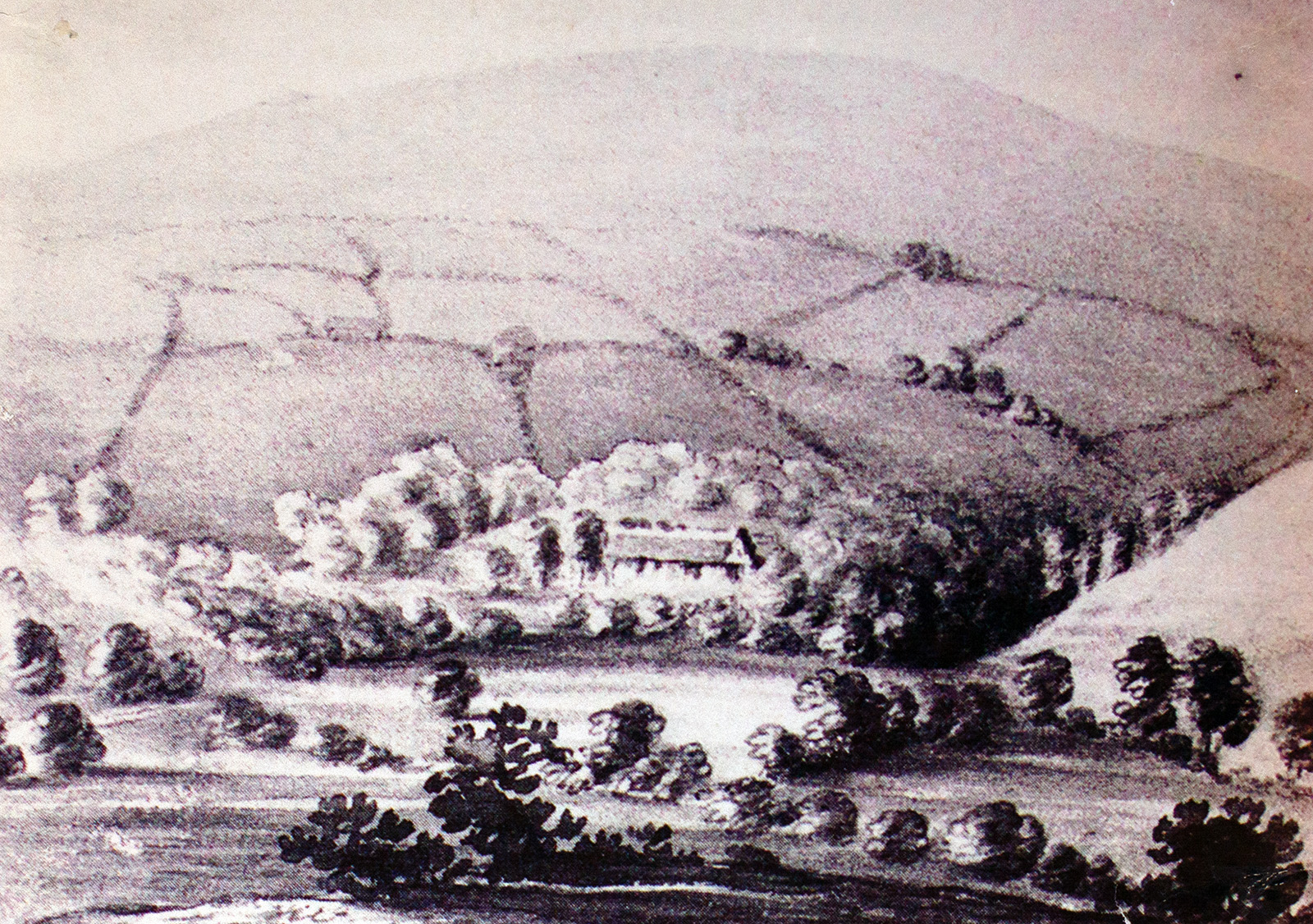 Tainton 1524 - 1600s Family Names - Bishopsteignton Heritage